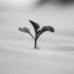 Sumeru Equity Partners Growth Capital