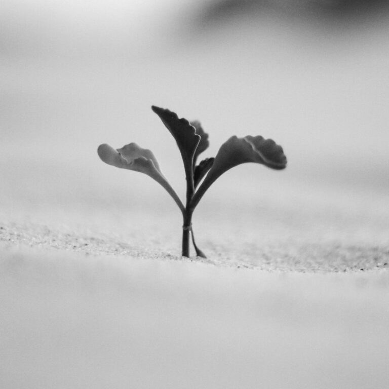 Sumeru Equity Partners Growth Capital